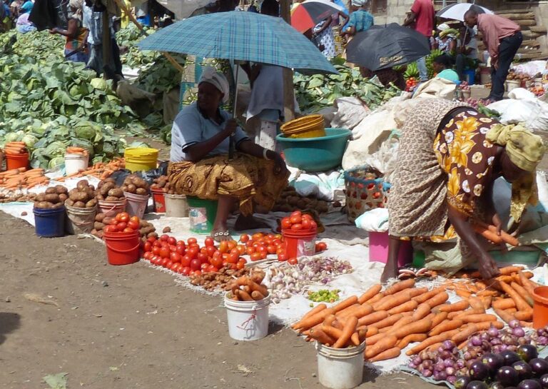 Limp Carrots and a Pineapple - Travel, Art and Tequila